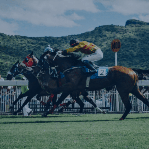 What is Swifty Sports? | Betting Site World